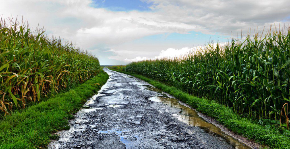 Grain Moisture Content Impacts Stored Grain Profits at Sale