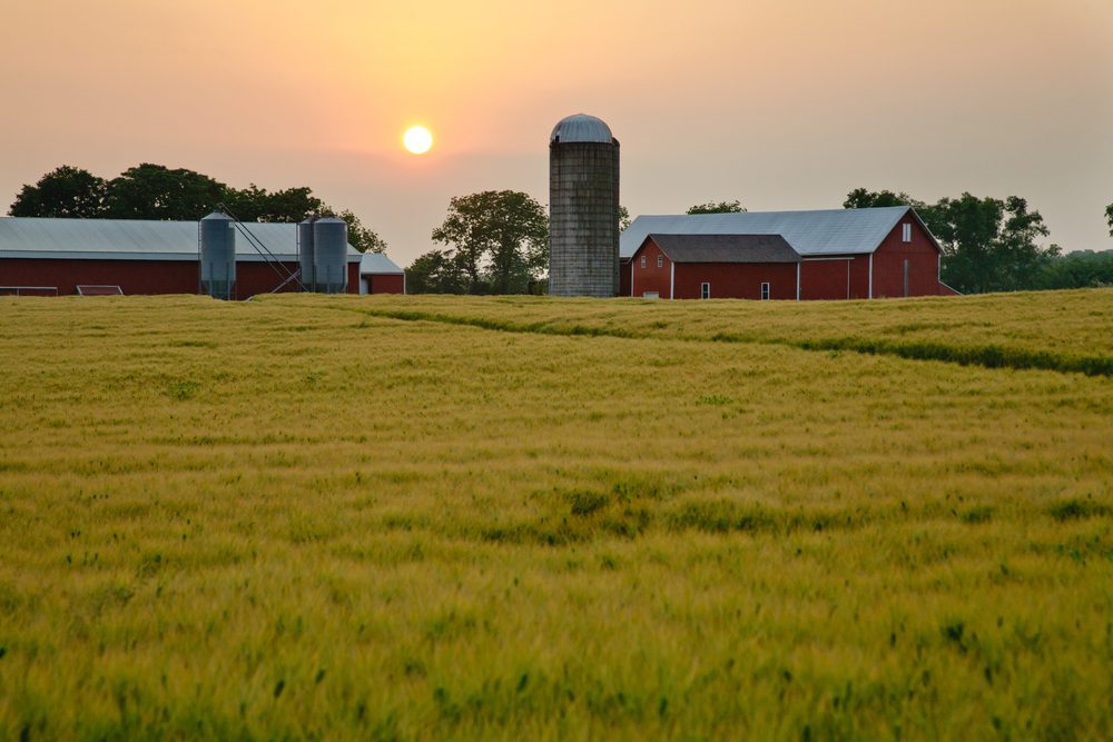 14 Long-term Grain Storage Tips for Better Results at Market