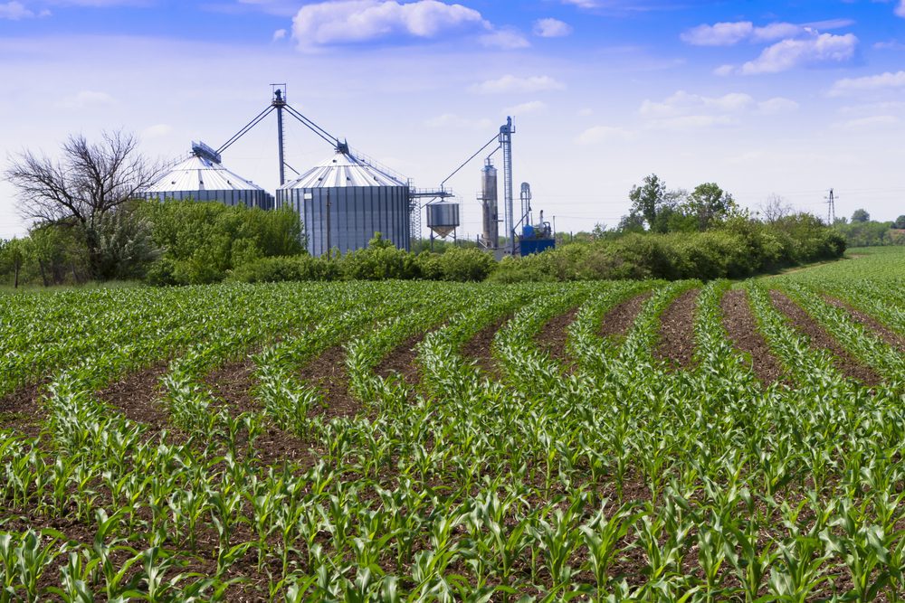 Successful Grain Storage Management Starts with Temperature Monitoring
