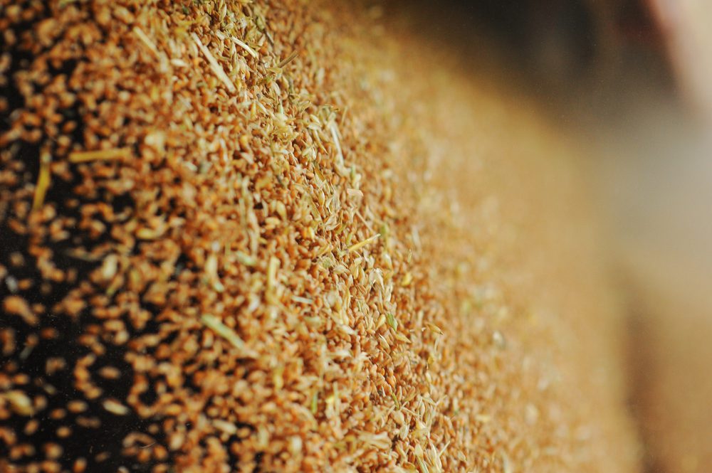 Core Bins to Remove Grain Fines for Better Storage ⋆ Tri-States Grain ...